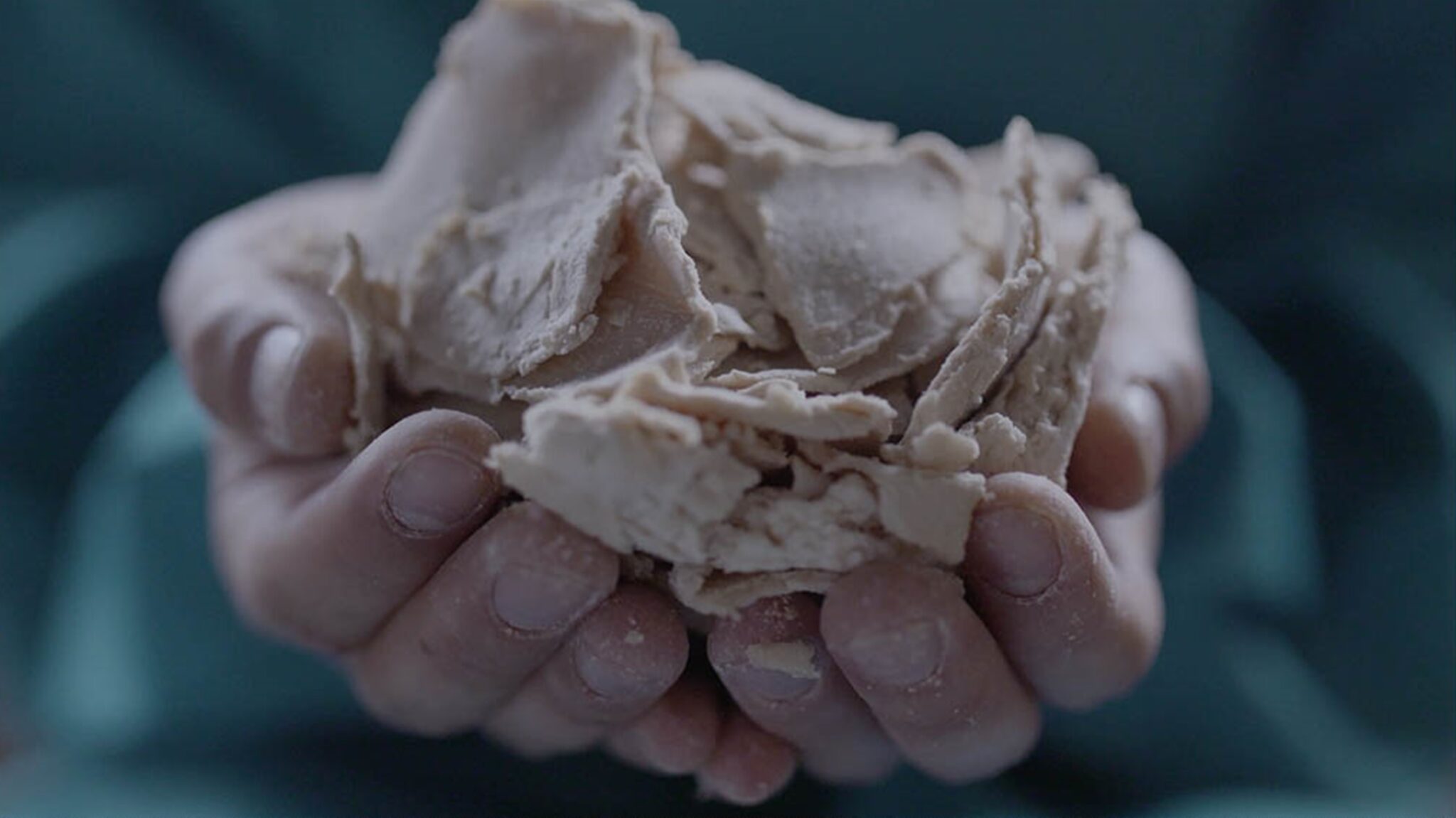 ミツカン「ZENB」開発トップが「薄皮まで丸ごと」にかけた執念。「失敗しても、技術が後退することは絶対にない」 | OTEMOTO[オ・テモト]