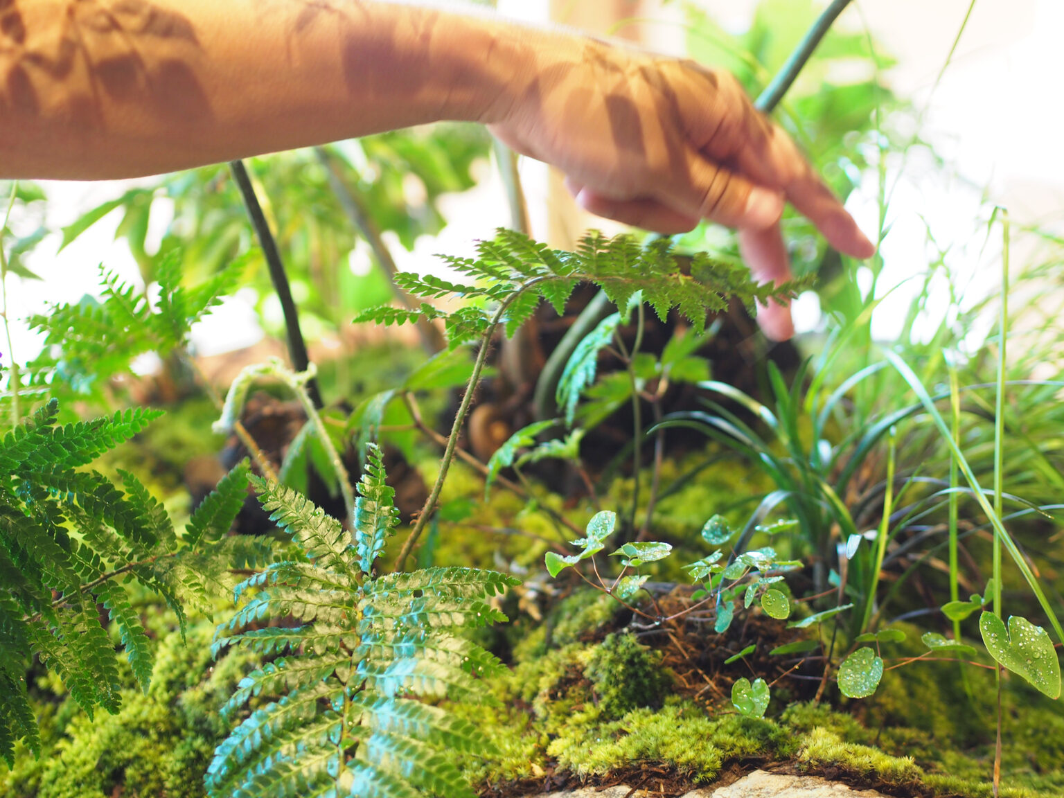 おきぐすりの富山で生まれた、薬が不要な未来を目指すカフェ。崖っぷちの5代目が考える健康とは | OTEMOTO[オ・テモト]