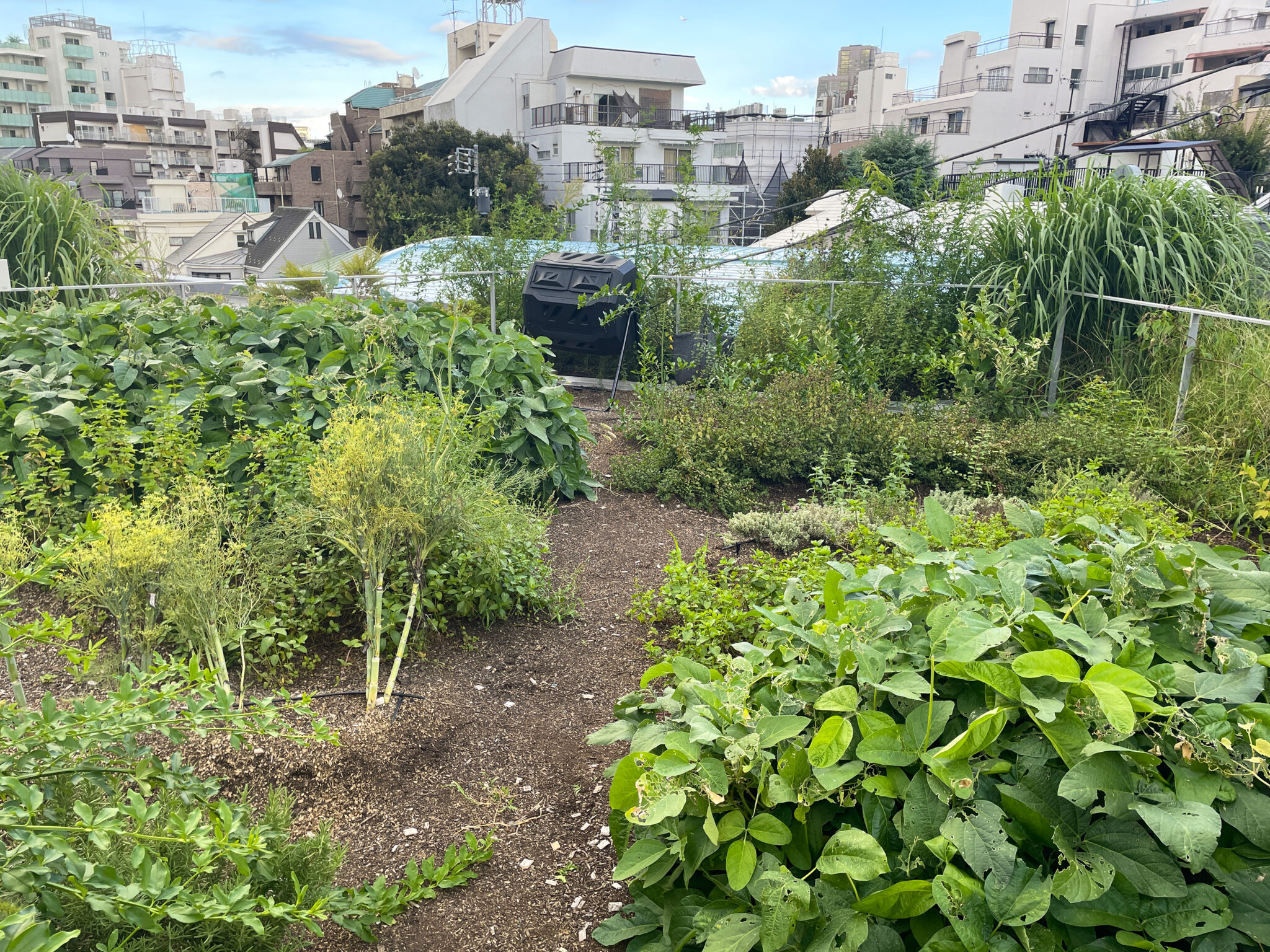 代官山のまるごとサステナブル拠点。おしゃれなだけじゃない「店産店消」の本気度 | OTEMOTO[オ・テモト]